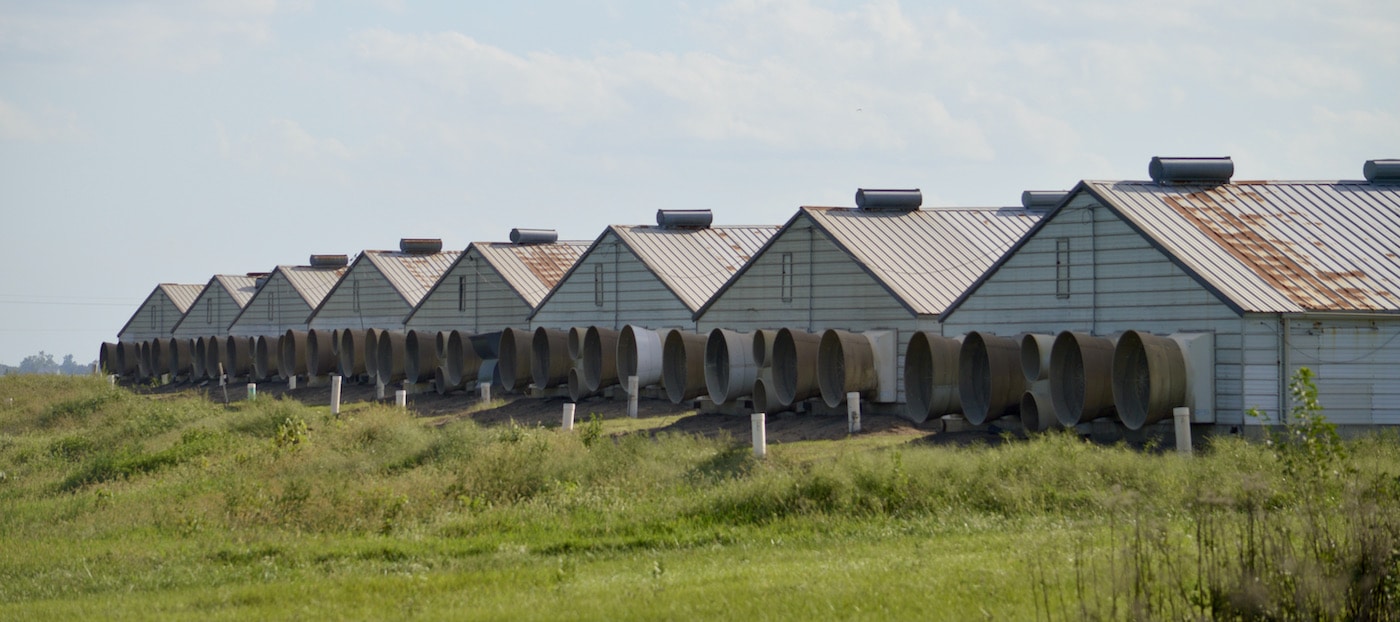 Three Ways to Stop the Pollution of Iowa's Water - Barn Raiser