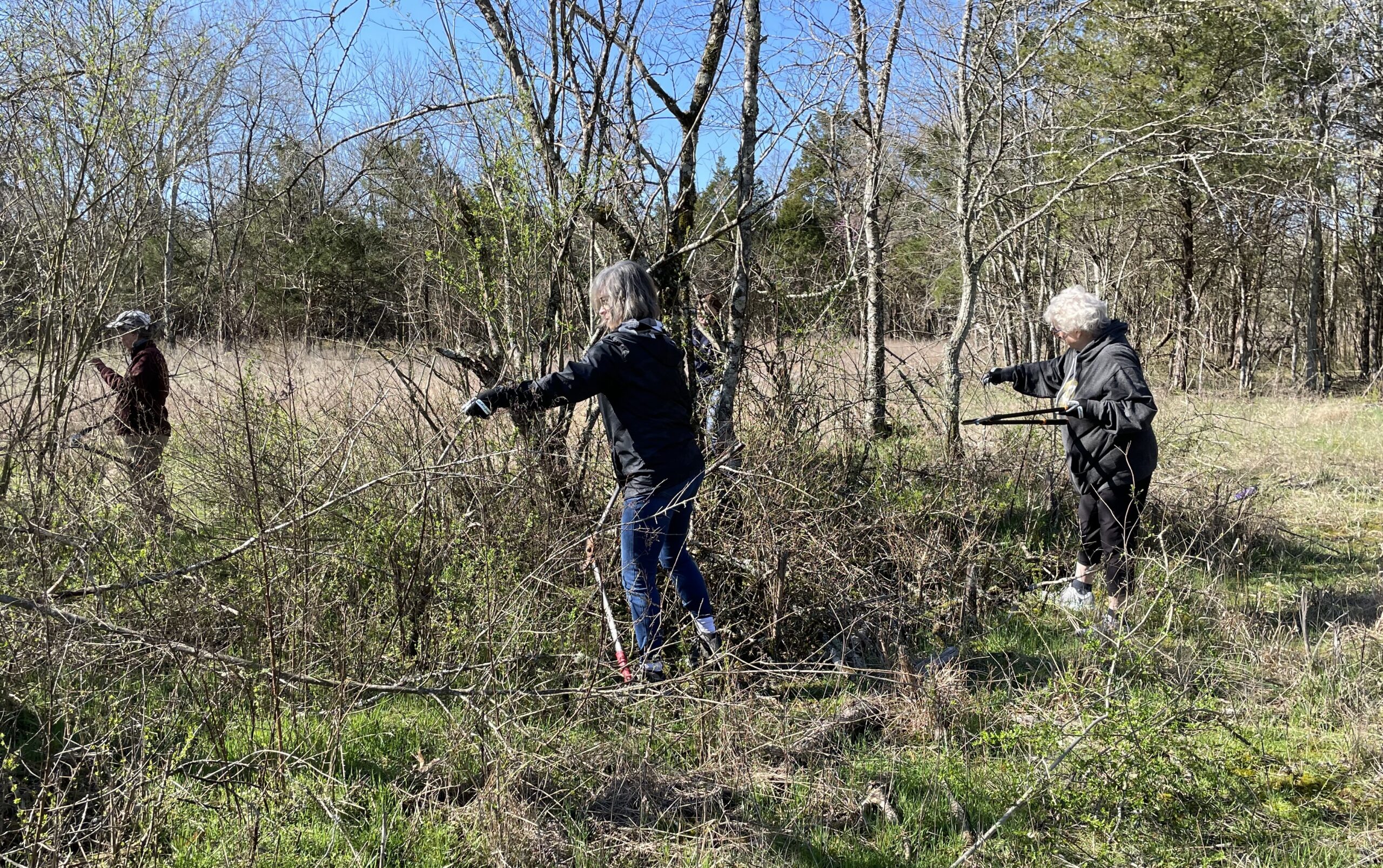 “Weed Wrangle” Movement Protects Native Plants - Barn Raiser