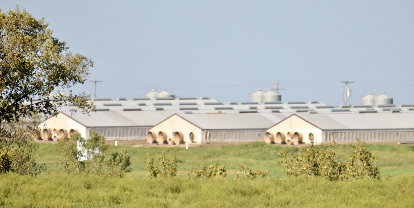 Three Ways to Stop the Pollution of Iowa's Water - Barn Raiser