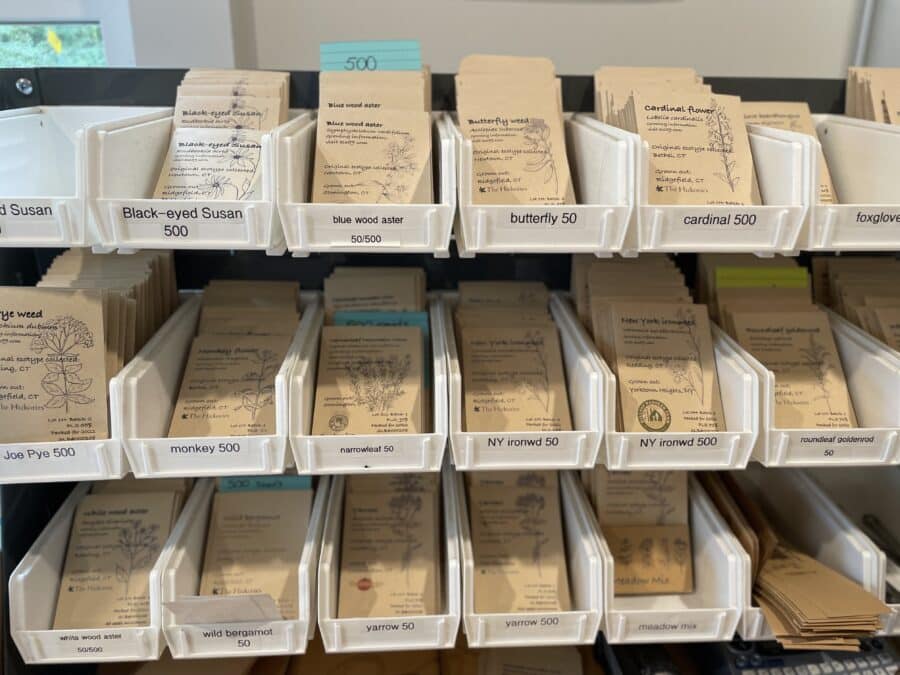 Native Seed Network Takes Root in the Northeast