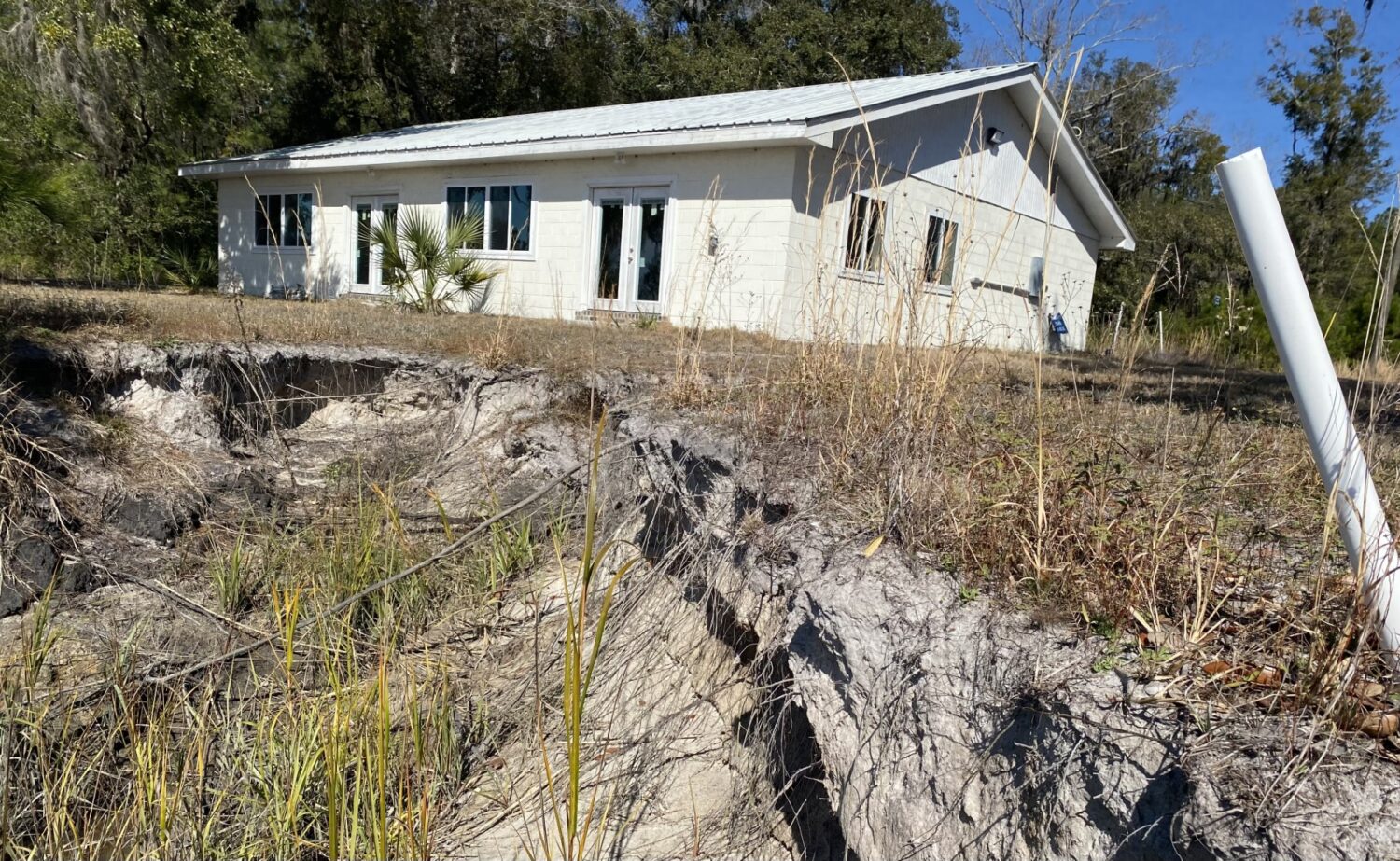 Saving the Southeast’s Salt Marshes