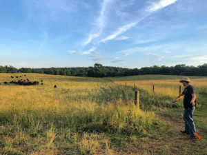 Beautiful and Baffling: The Kickapoo Valley - Barn Raiser