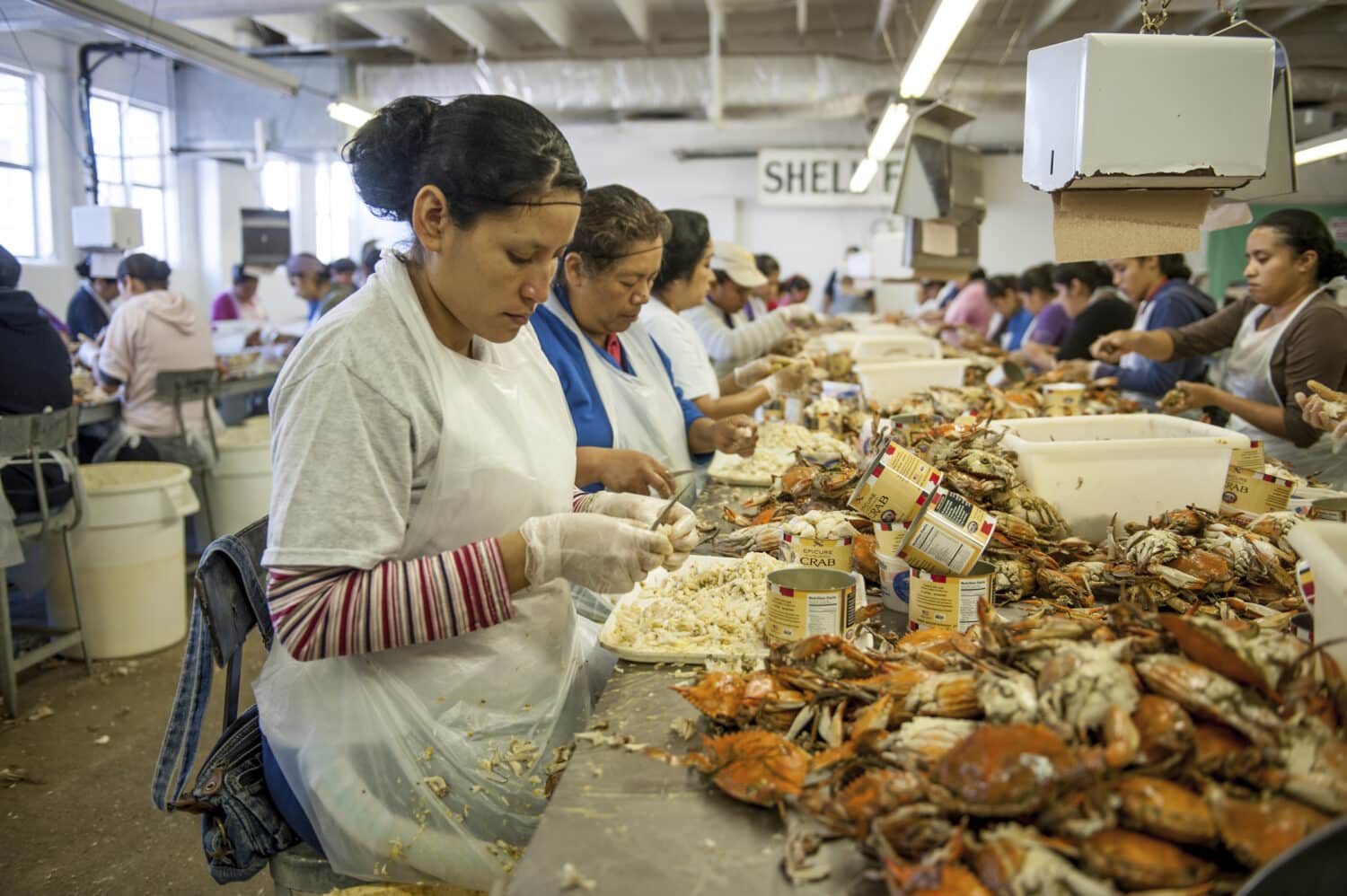 Going off the Jeffersonian Grid